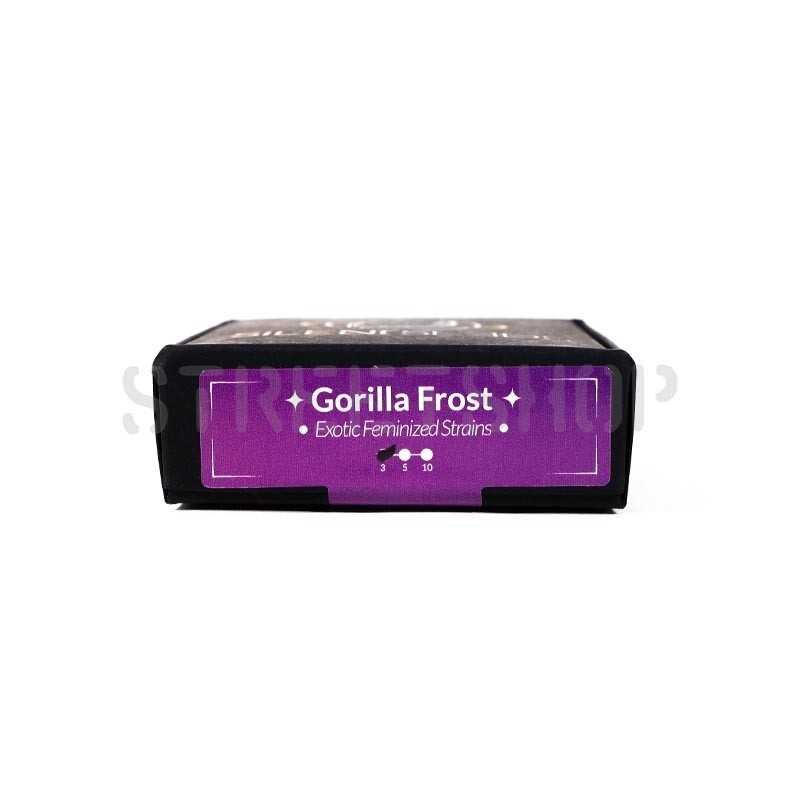 Graines collection féminisées Gorilla Frost - Silent Seeds - StreetShop