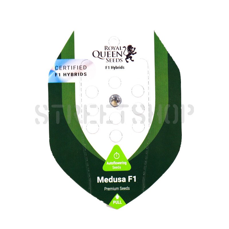 Seed Auto F1 Hybrids Medusa - Royal Queen Seeds
